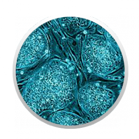 Renforcez vos cheveux grâce au traitement antichute Foliactive